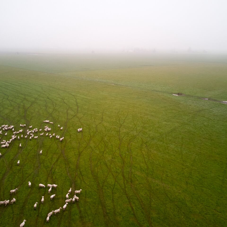 Yarn connects. Quality wins. - ZKS – Zwickauer Kammgarn GmbH